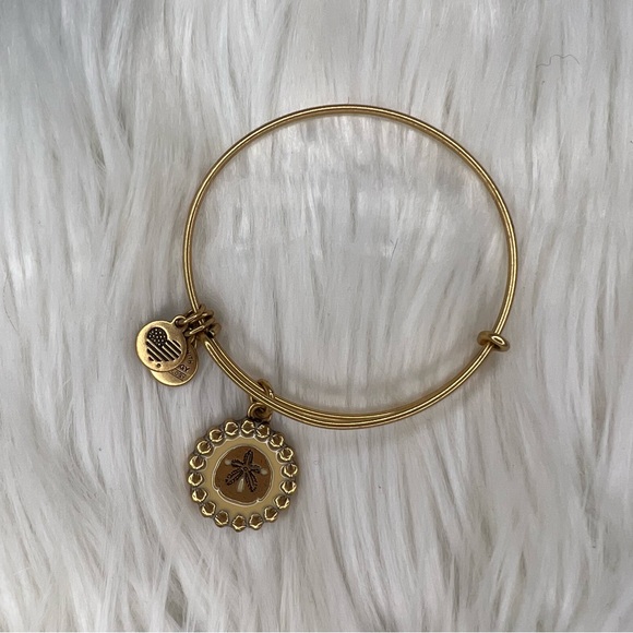 Alex and Ani | Jewelry | Alex And Ani Color Infusion Sand Dollar Rafaelian Gold Charm Bangle ...